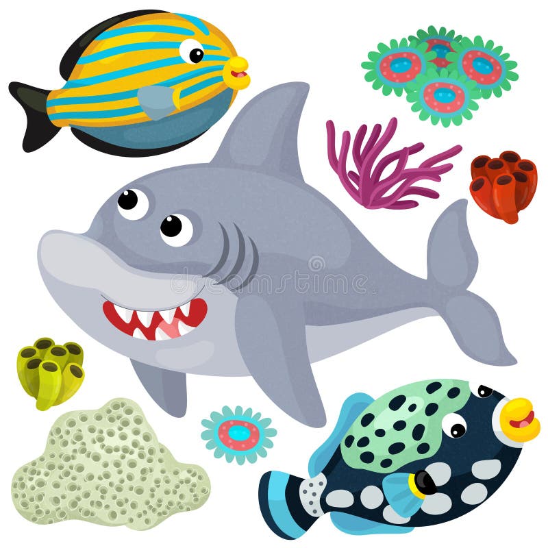 Sea Elements and Animals - Illustration Stock Illustration ...