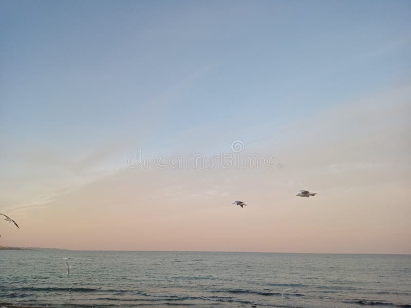 Sea in the evening stock image. Image of horizon, sunset - 258683499