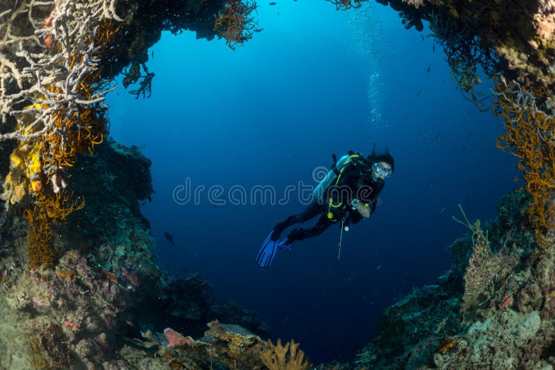769 Underwater Slope Photos - Free & Royalty-Free Stock Photos from ...