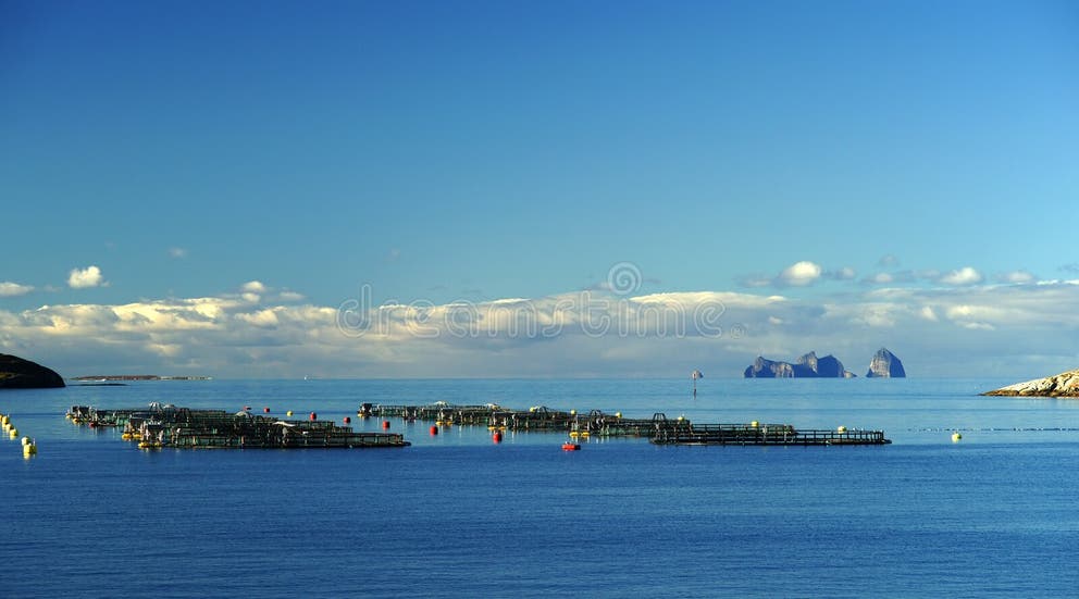 Sea farm stock image. Image of coast, coastline, fjord - 27225117