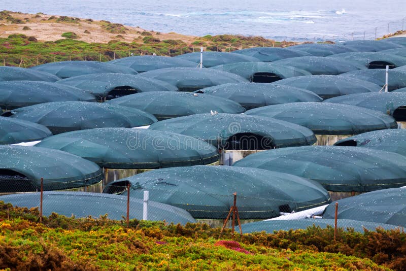 Sea farm stock photo. Image of nature, coastline, aquaculture - 78846424