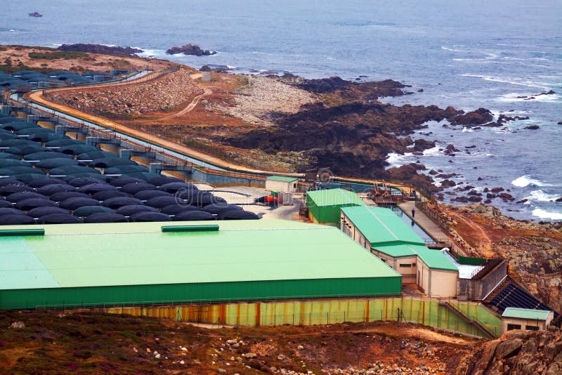 Sea farm stock image. Image of galicia, landscape, construction - 60912925