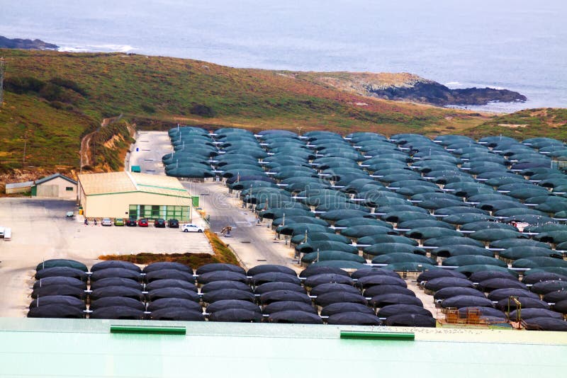 Sea Farm for Seafood Production Stock Image - Image of aquaculture ...