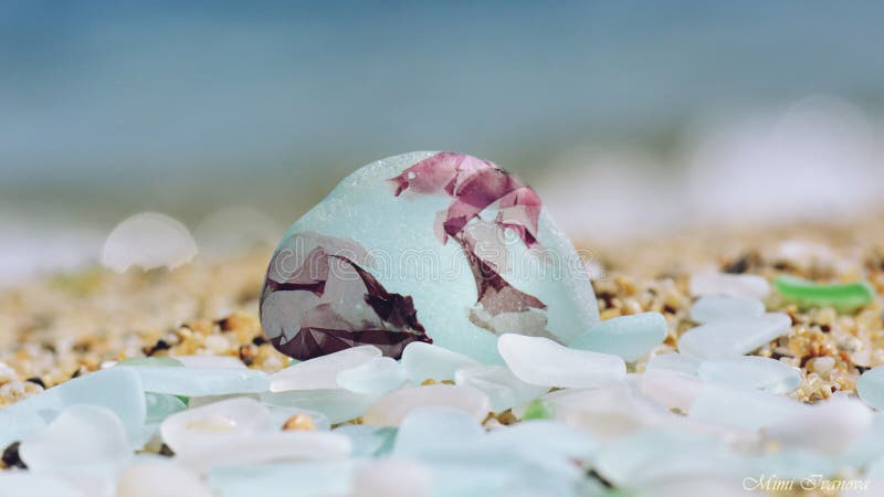 Sea Finds stock image. Image of summer, beach, beautiful - 96893137