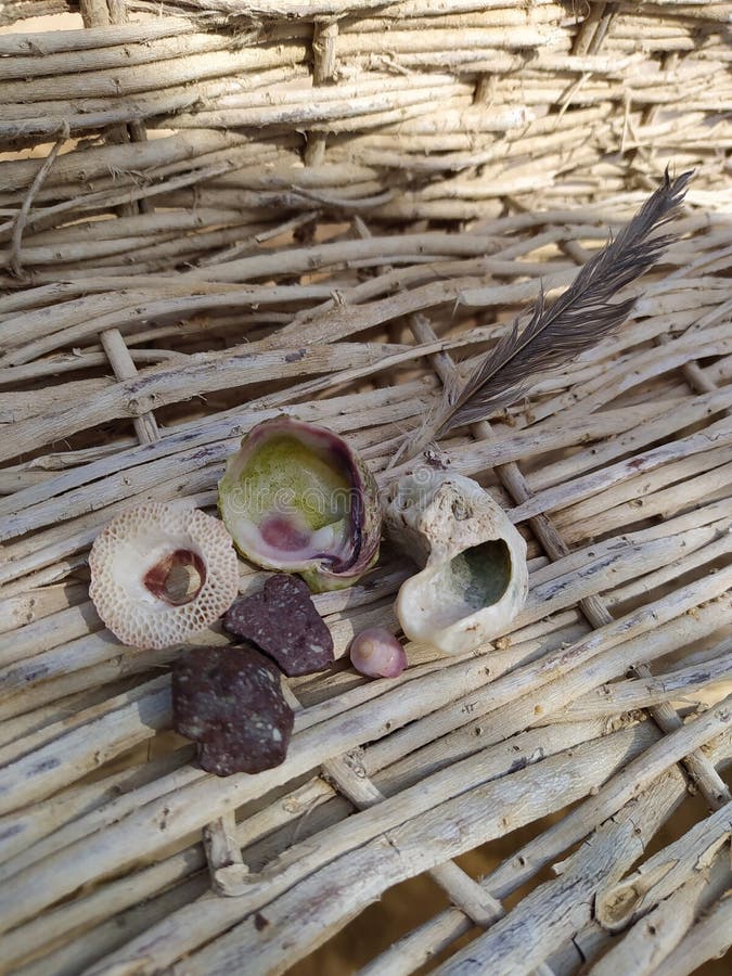 Shells, Pebbles and Corals on a Wicker Table - Gifts of the Red Sea ...