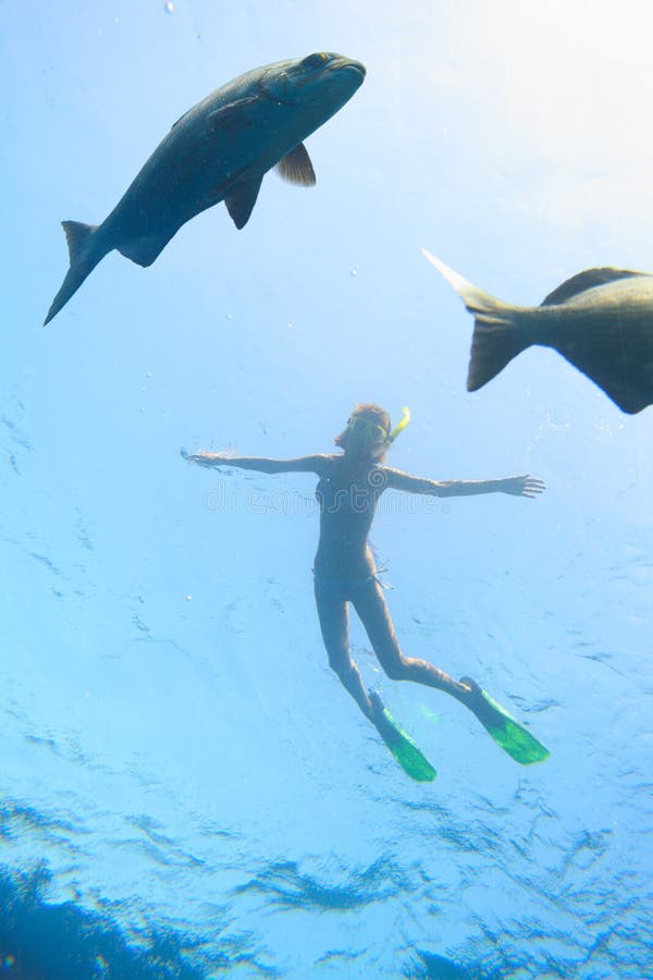 Woman and fish stock image. Image of sand, swim, freediving - 26888005