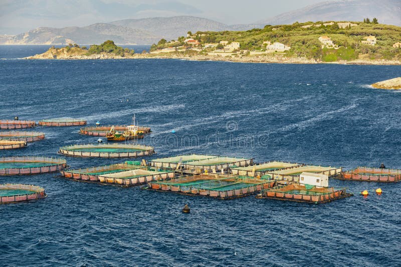 Sea Fish Farm. Artificial Fish Farming in Europe Stock Photo - Image of ...