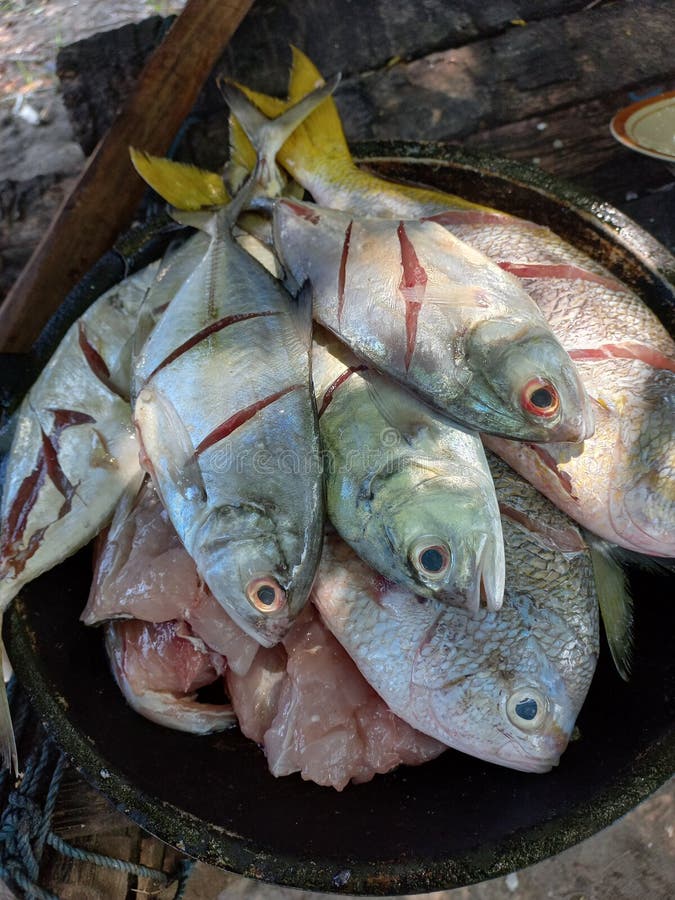 Sea Fish that Has Been Cleaned Ready To Be Cooked Stock Image - Image ...