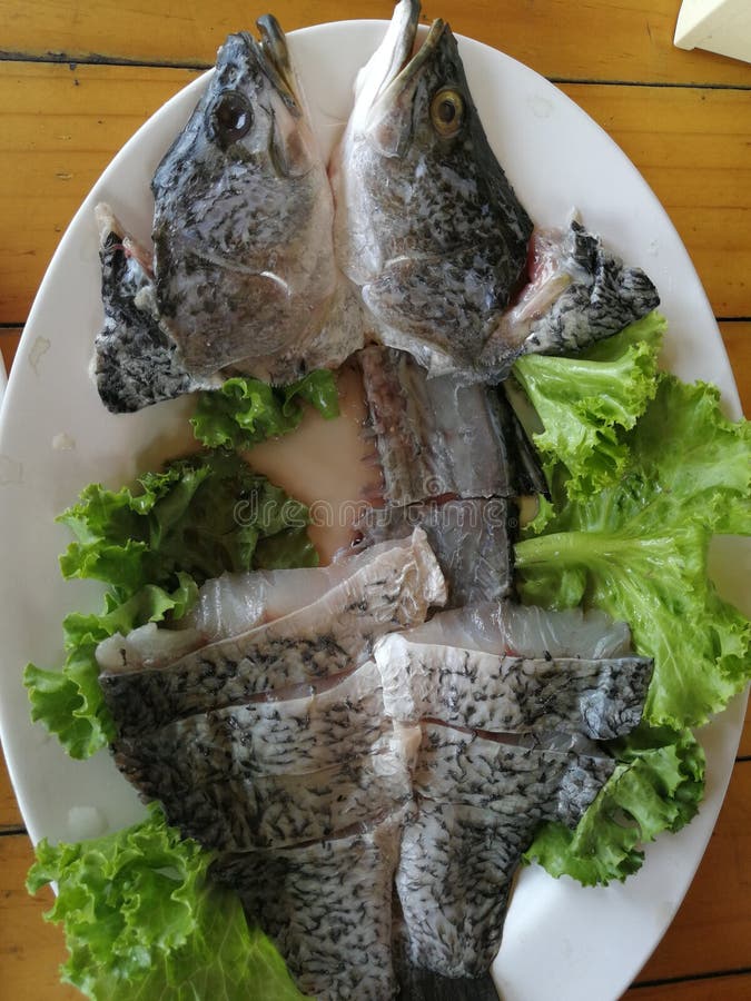 Sea Fish Head on a White Plate Decorated with Green Leafy Vegetables ...