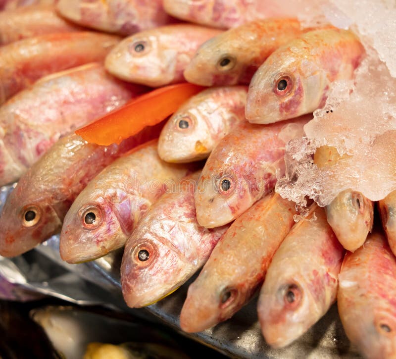 Sea Fish in Ice in a Restaurant. Stock Image - Image of nutrition ...
