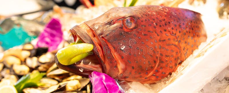 Sea Fish in Ice in a Restaurant. Stock Image - Image of marine, meal ...