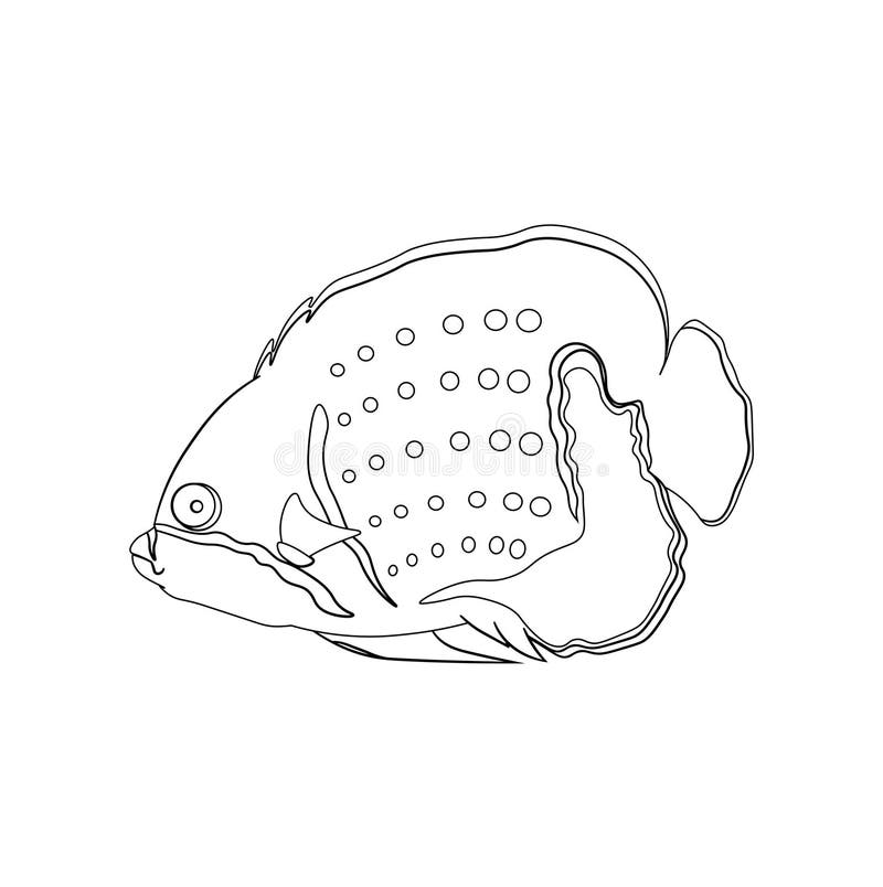 Sea Fish in Linear Drawing. Children Drawing for Coloring. Vector on ...