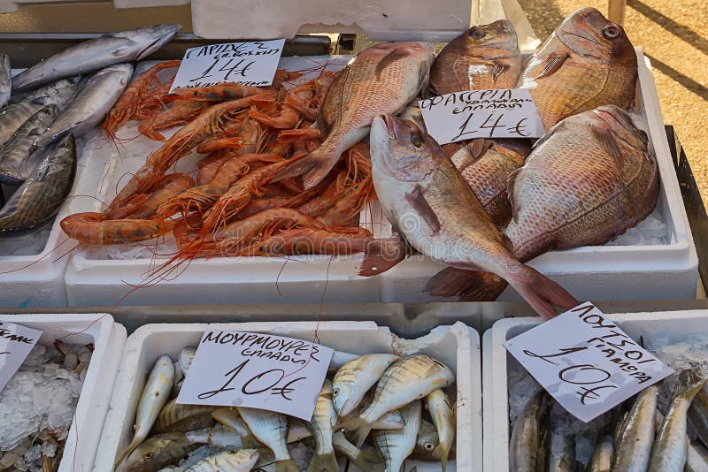 Sea Fish on Public Market in Greece Stock Image - Image of looking ...