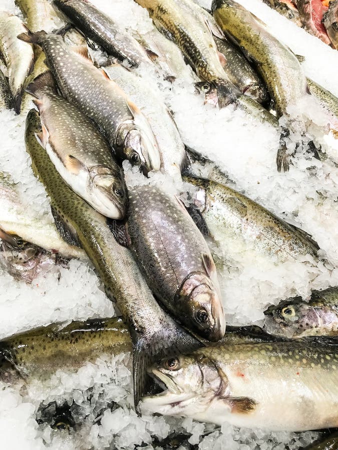 Sea Fish for Sale in Fish Market Stock Image - Image of iced, market ...