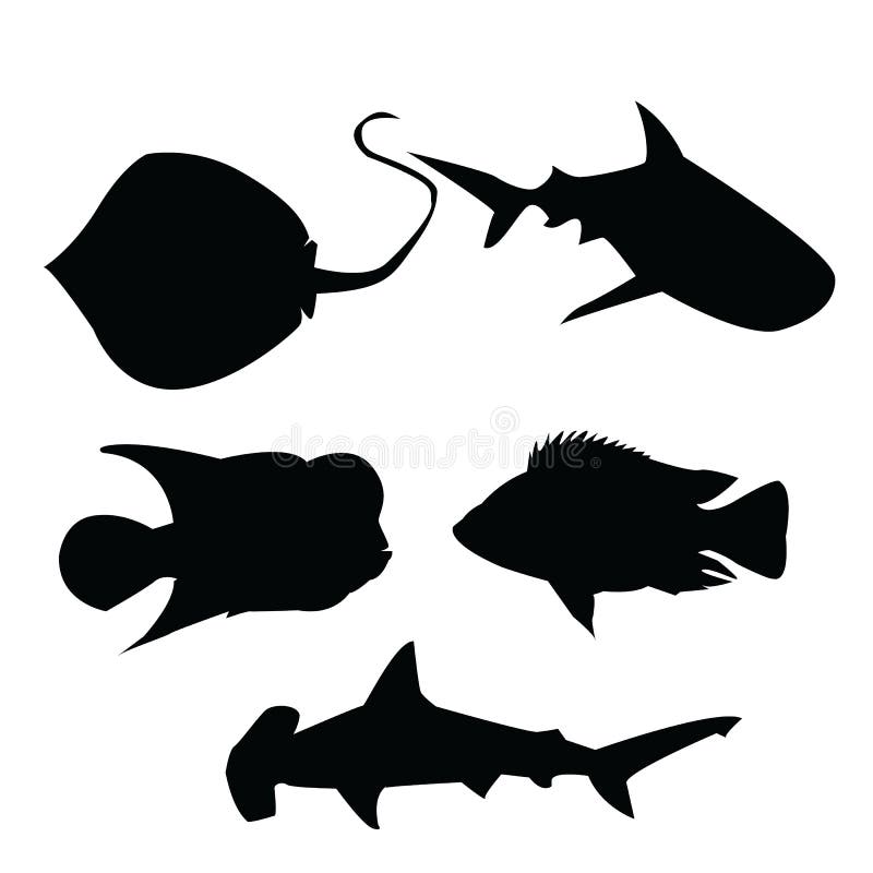 Sea Fish shadow stock vector. Illustration of fish, hammerhead - 45126727