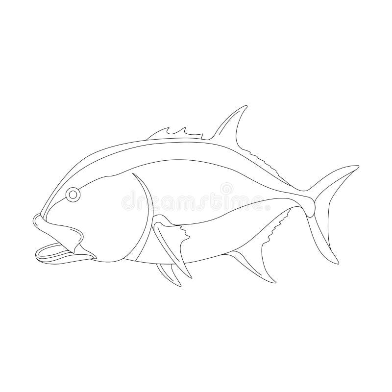 Sea Fish, Vector Illustration ,profile View Stock Vector - Illustration ...