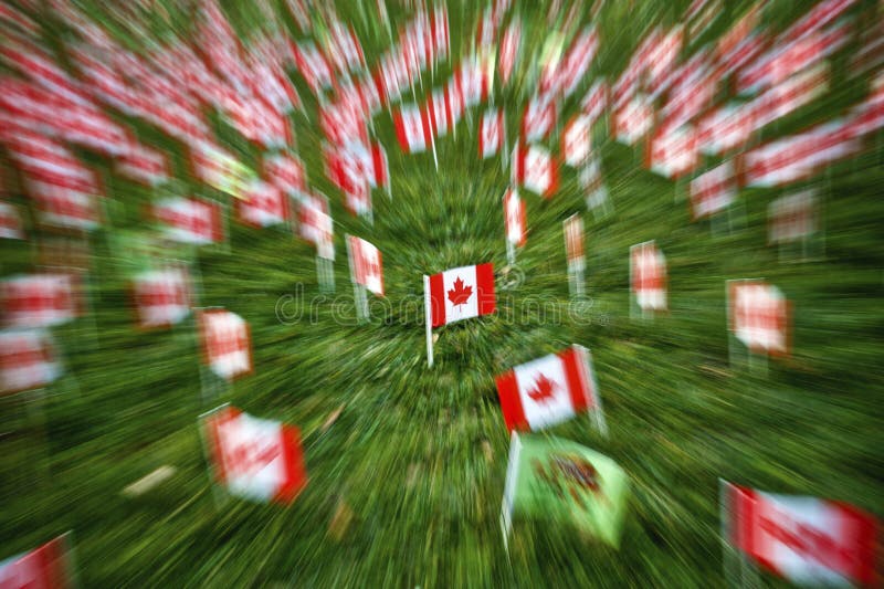 A Sea of Flags To Tribute To the Veterans Stock Photo - Image of ...
