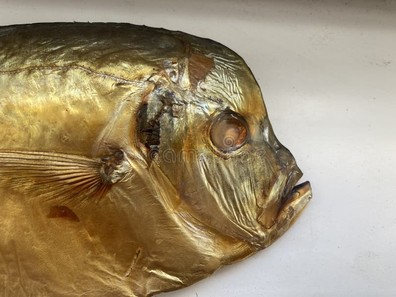 Sea flat dried fish vomer stock photo. Image of seafood - 329999540