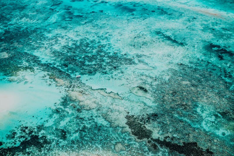 Sea Floor stock photo. Image of underwater, azure, swimming - 109708426