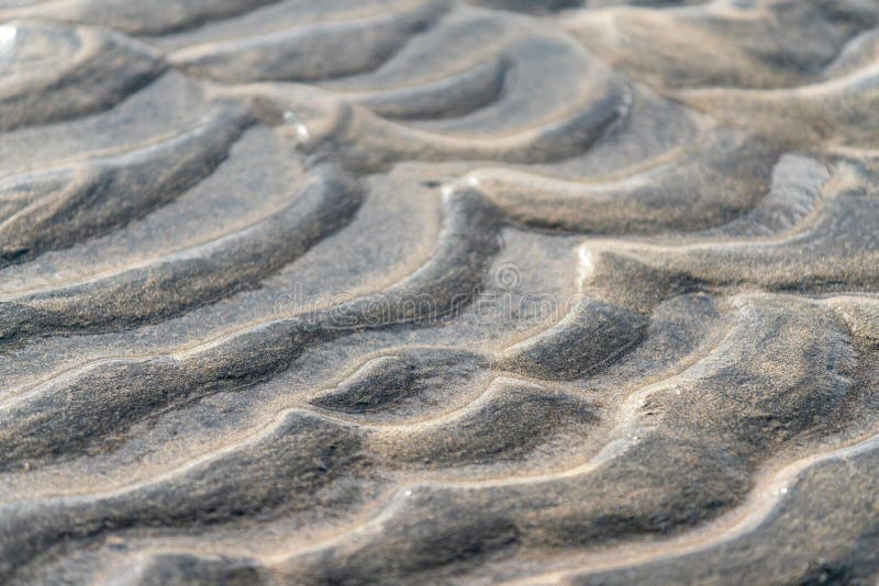 Sea Floor at Low Tide with Wave Pattern Stock Image - Image of abstract ...
