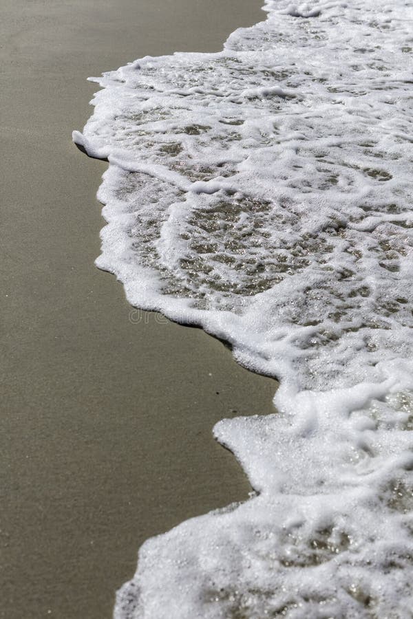 Sea foam stock photo. Image of water, sand, coast, wave - 98694844