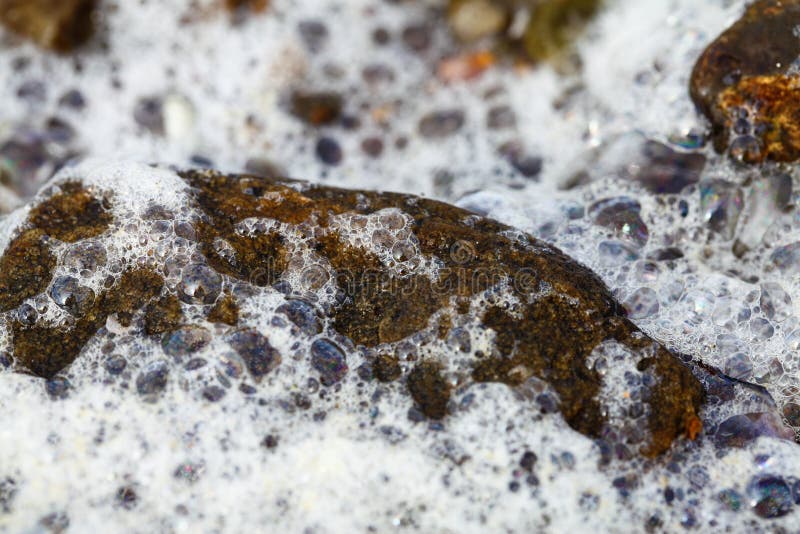 Sea Foam - Stone stock photo. Image of pearls, macro - 26559368