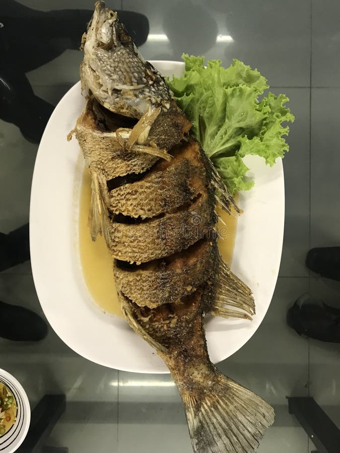 Sea food stock image. Image of boil, food, plate, fish - 114186269