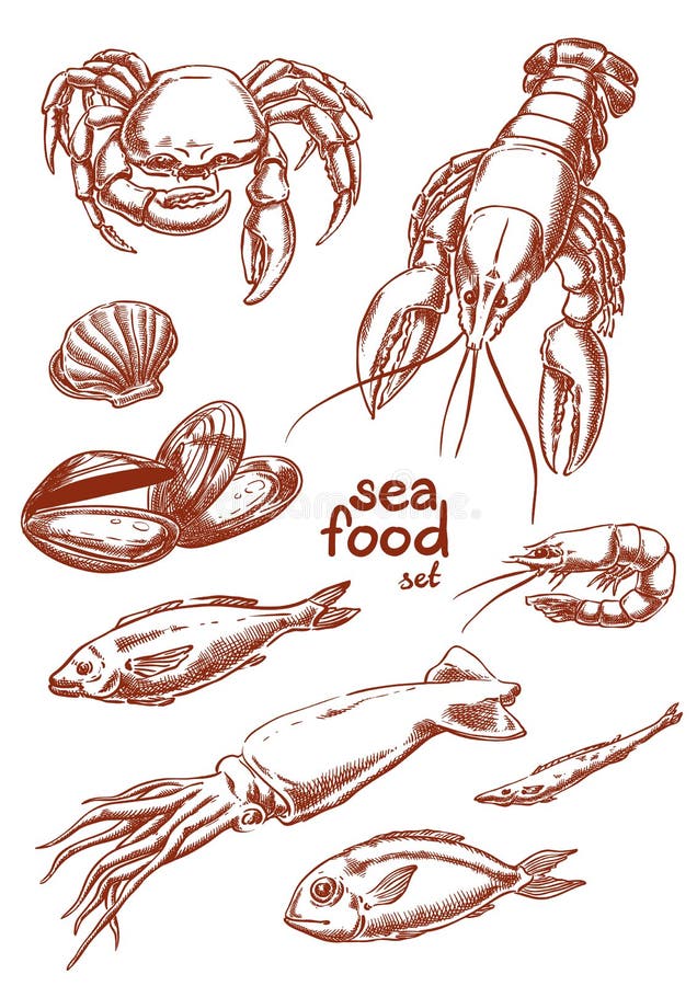 Fish and Seafood Set Illustration Stock Vector - Illustration of shell ...