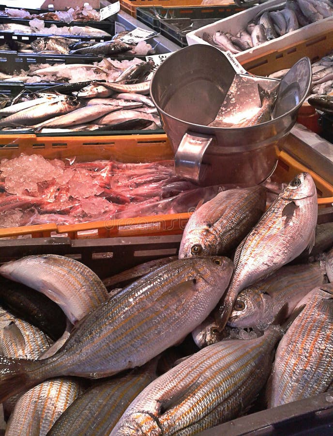 Sea food store stock image. Image of fish, food, market - 26703067