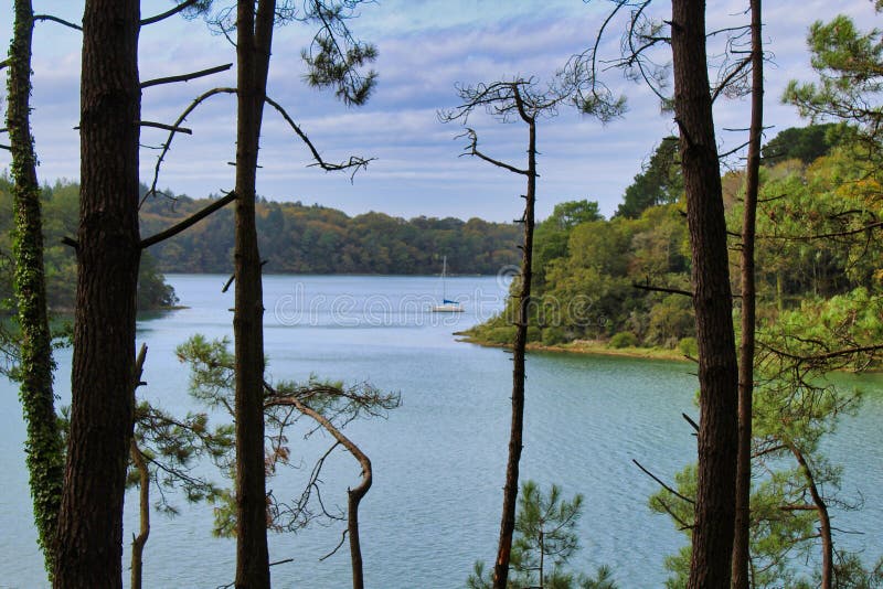 Sea in the Forest in France Stock Image - Image of scenic, tranquil ...