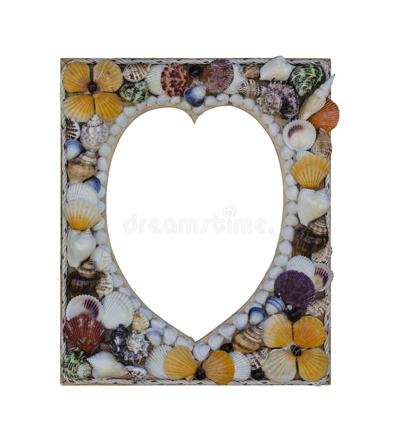 Sea frame stock photo. Image of shells, water, white - 42338734