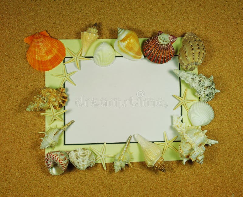 Sea frame with starfishes stock image. Image of card - 15432757