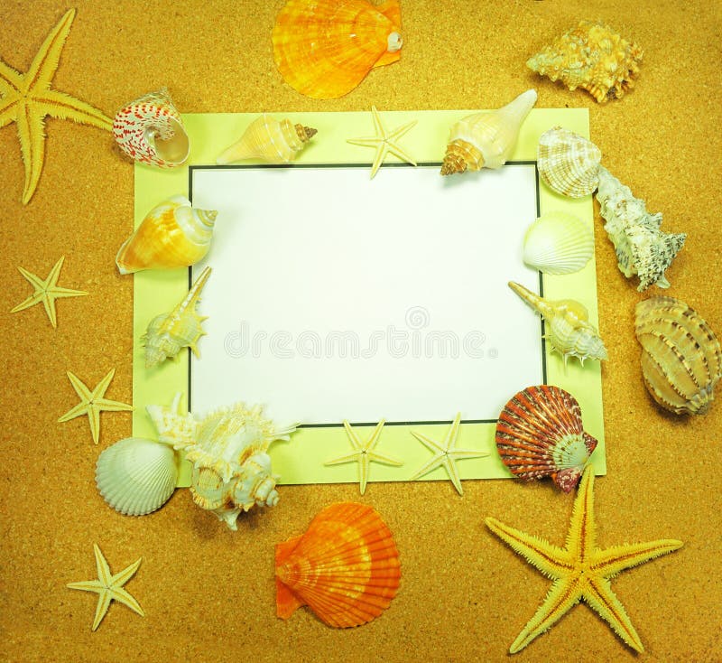 Sea frame with starfishes stock photo. Image of ocean - 16695754