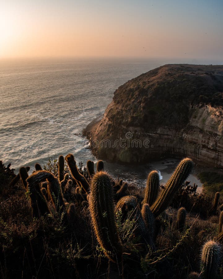 The Sea in Front of a Big Cliff on a Beautiful Sunset with Cactus in ...