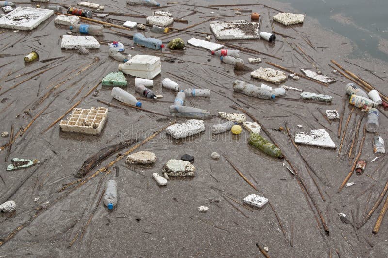 Sea garbage stock photo. Image of green, bottle, polluted - 48115362