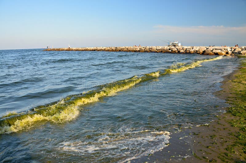 Sea with Sandy Beach Near Ravenna Stock Photo - Image of polluted ...