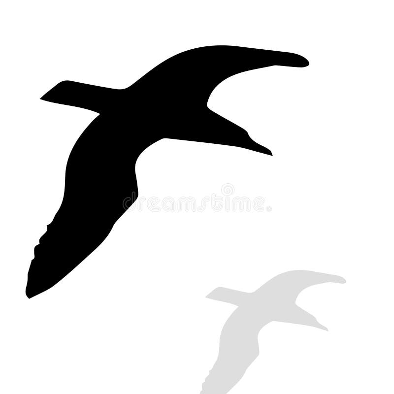 Sea gull stock vector. Illustration of wildlife, shadow - 122871813