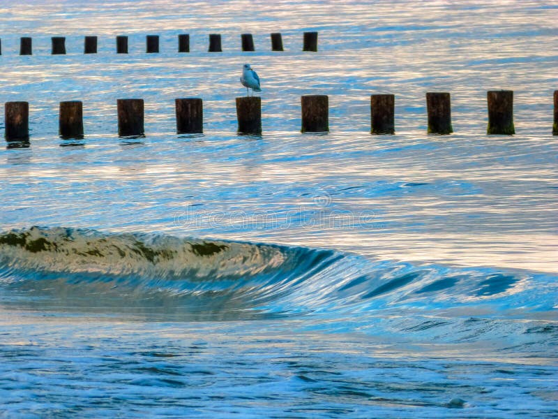 Sea Gulls Sitting on Wave Breaker in Baltic Sea Stock Image - Image of ...