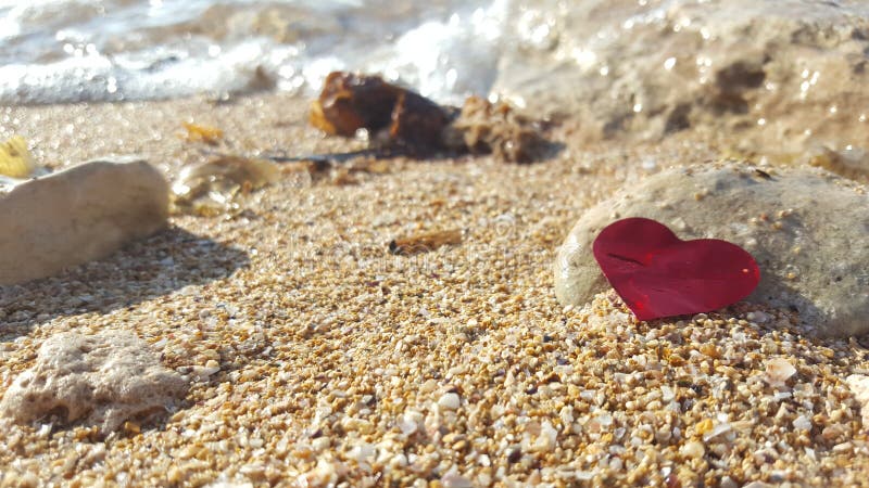 The Sea Heart stock photo. Image of nature, heart, rock - 242799000