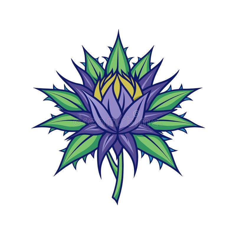 Sea Holly Flower Illustration with Bold Outline Stock Photo ...