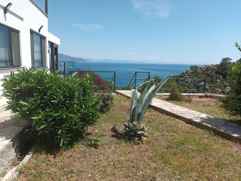 Palms Roud Green Blue Stock Photos - Free & Royalty-Free Stock Photos ...