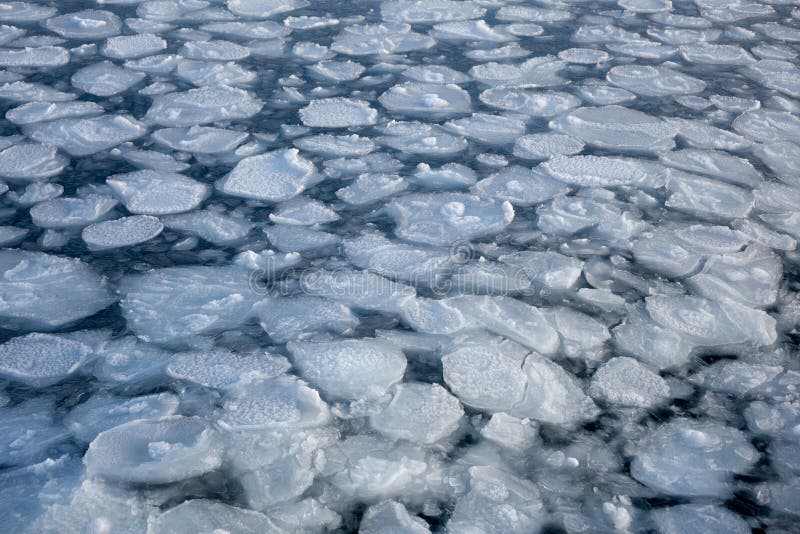 Sea ice edge nature stock photo. Image of crystal, change - 40387868