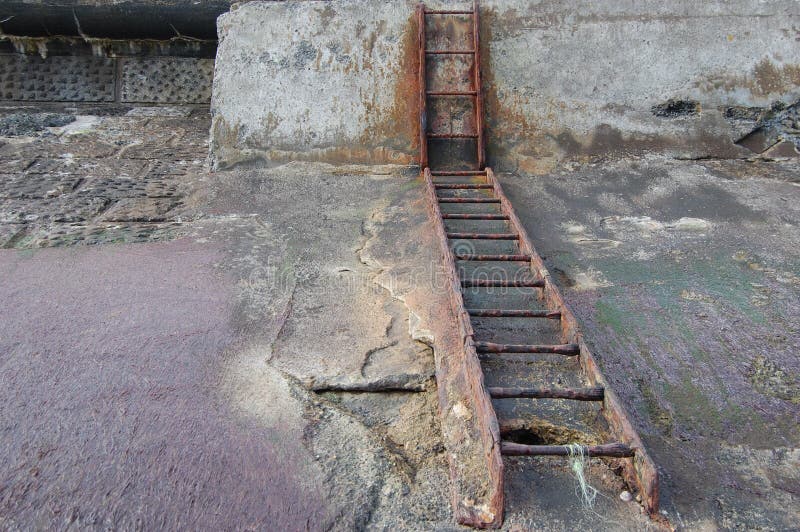 Sea ladder stock photo. Image of rusty, cliff, tynemouth - 38102178