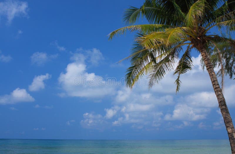 Sea landscape stock image. Image of ideal, landscape - 13762013