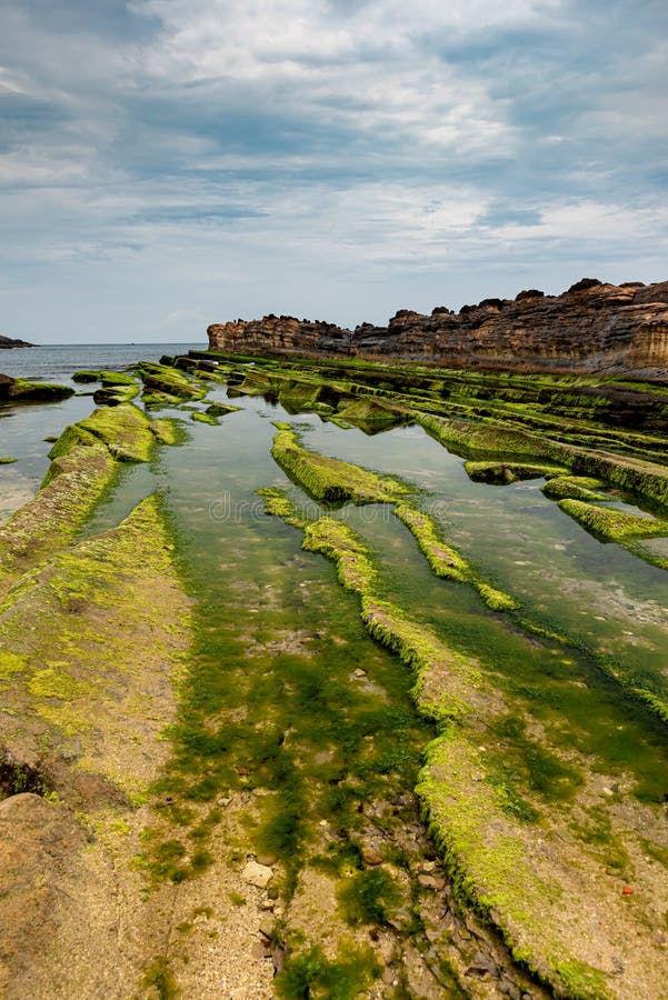 Sea Landscape with Rocks and Greenery Stock Photo - Image of outdoors ...
