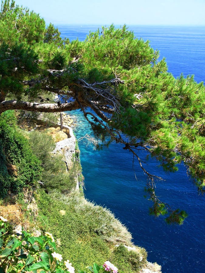 Sea level from the cliff. stock image. Image of monaco - 3709895