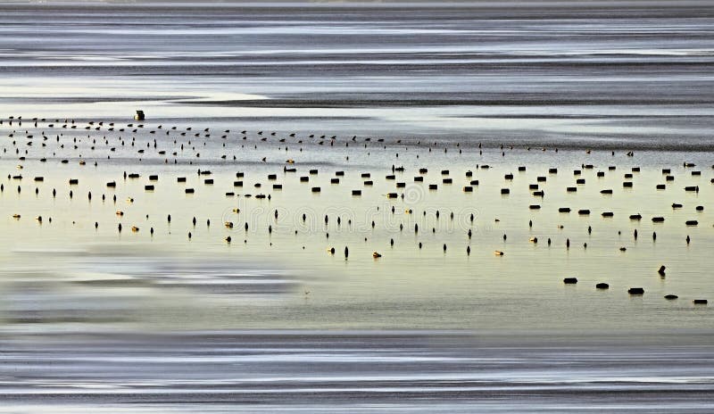 Sea Level Panorama with Pots and Waves Stock Photo - Image of panorama ...