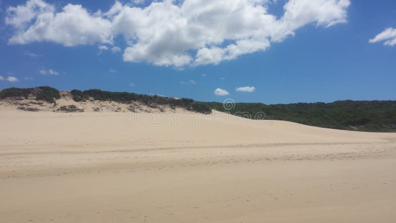 Sea life stock image. Image of beach, views, port, life - 80242333