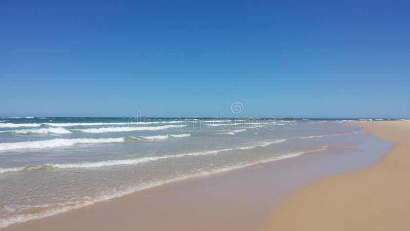 Sea life stock photo. Image of views, spit, wave, coast - 80242378