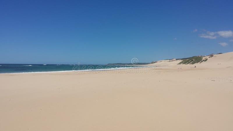 Sea life stock image. Image of coast, sand, ocean, horizon - 80248095